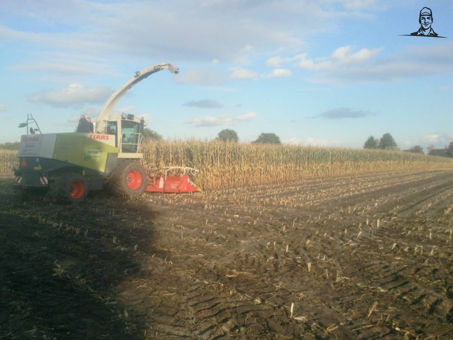 Hoeveel Ton Mais Per Hectare
